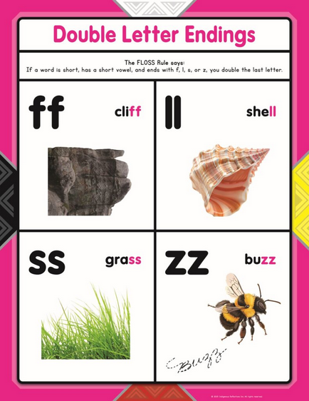 Early Reading Phonics (Double Letter Endings)