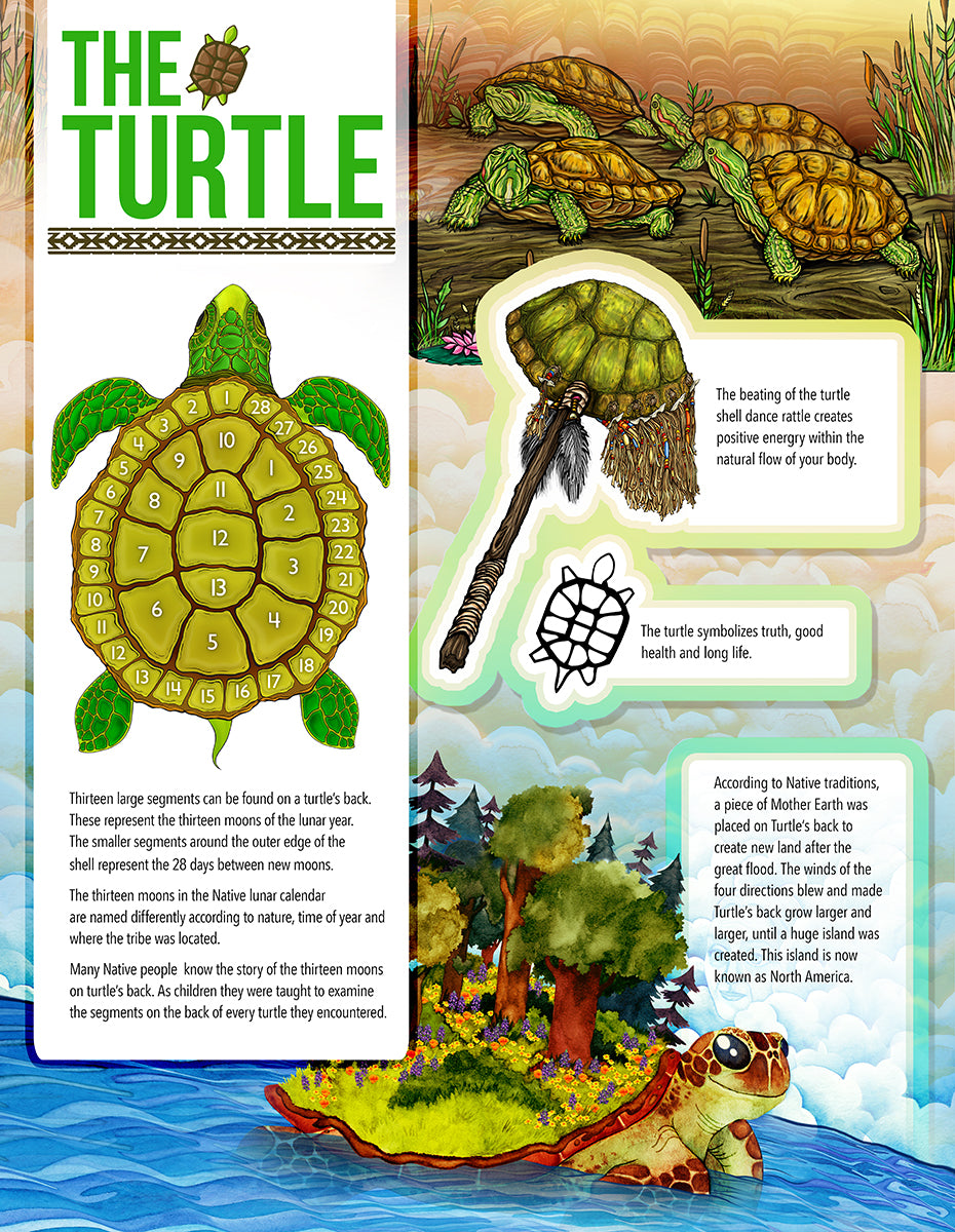 Turtle