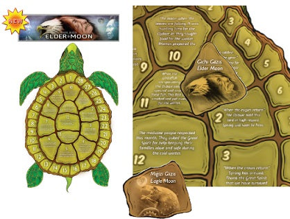 13 Moons on Turtle (x5)