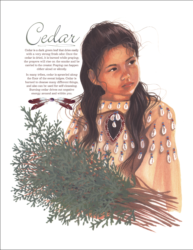 Medicine (Cedar)